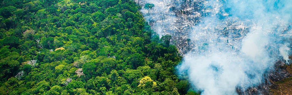 Somos Amazônia - WWF Brasil