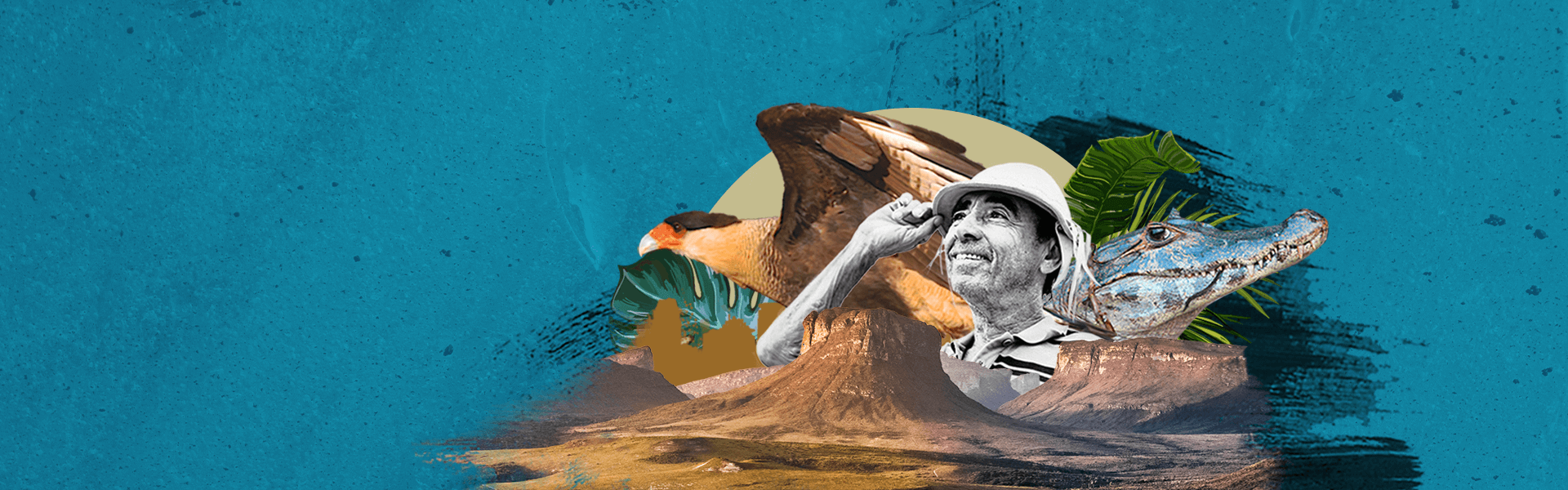 Institucional - WWF Brasil