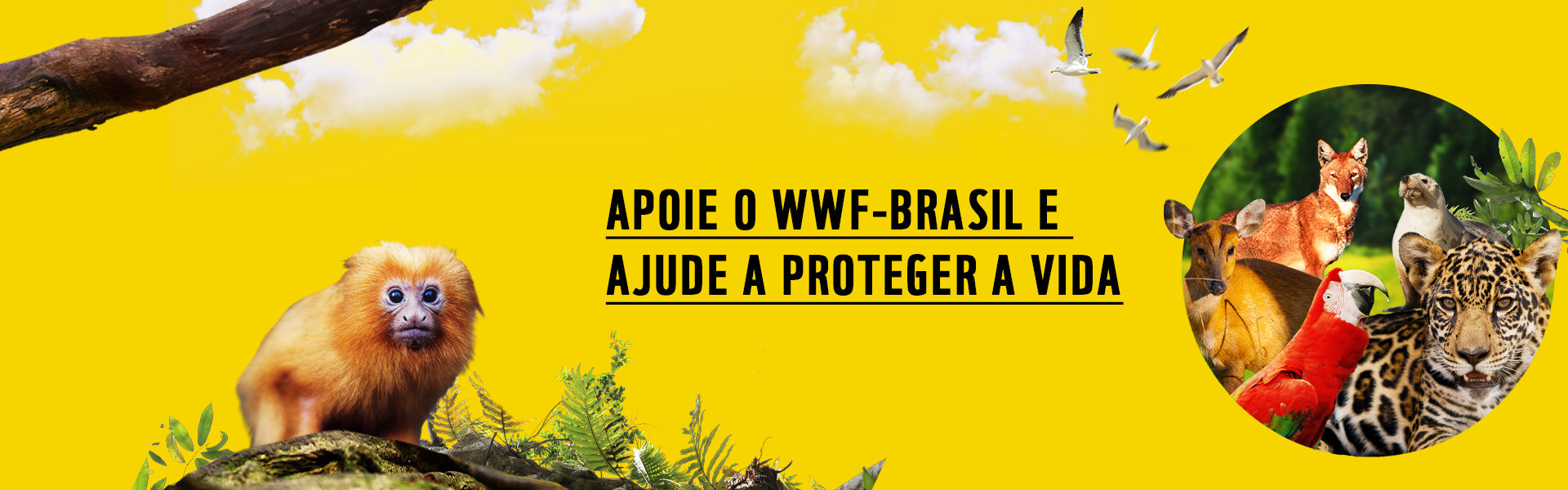 Brasil - WWF Brasil